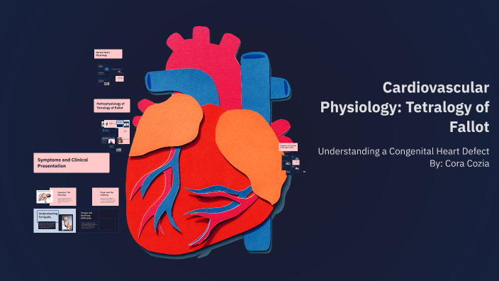 Cardiovascular Physiology: Tetralogy of Fallot by Cora Cozia on Prezi
