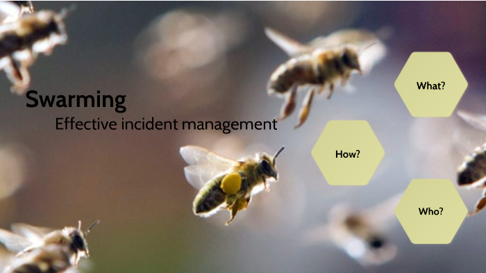 Swarming Incident Management by Abigail Wilson on Prezi