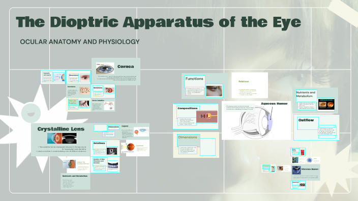 The Dioptric Apparatus of the Eye by Arriety Auckerman on Prezi