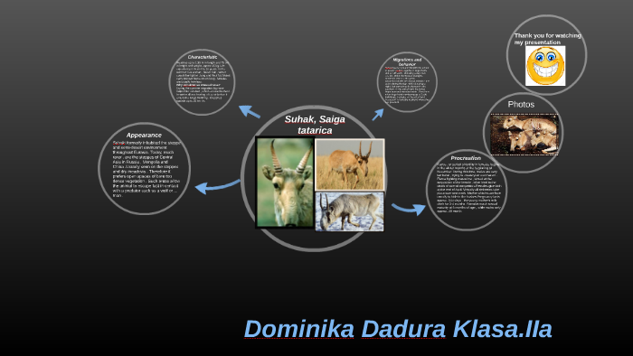 Suhak stepowy by Dominika Dadura on Prezi