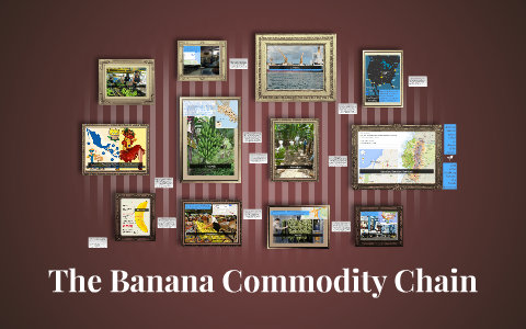 Commodity Chain of Bananas by Aubrey Beltran on Prezi