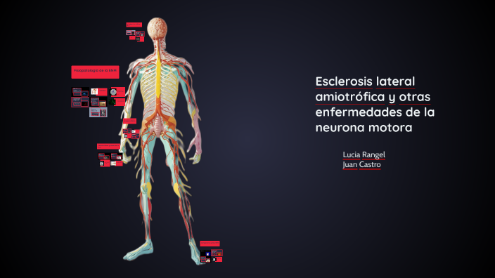 Esclerosis lateral amiotrófica y otras enfermedades de la neurona ...