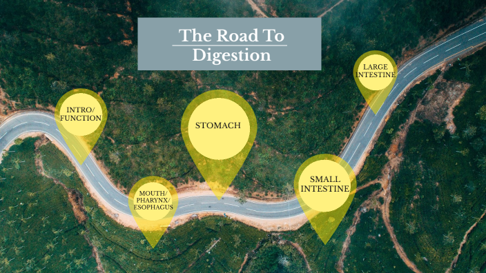 Digestion Road Map by whitney turner on Prezi