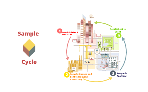 Midwest Laboratories, Inc. Sample Cycle by Lauren Albert on Prezi