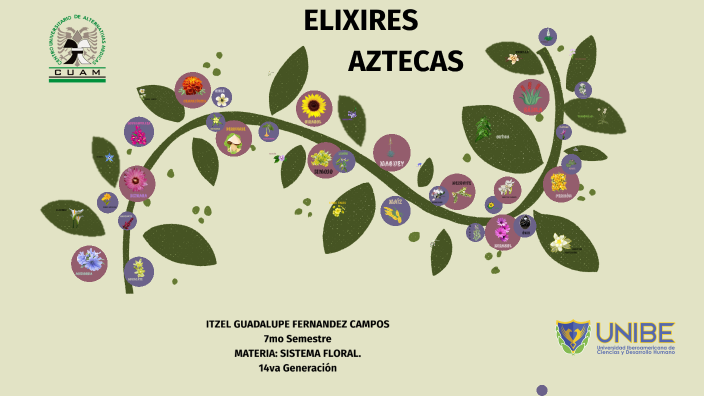ELIXIRES AZTECAS by itzel fernandez campos on Prezi