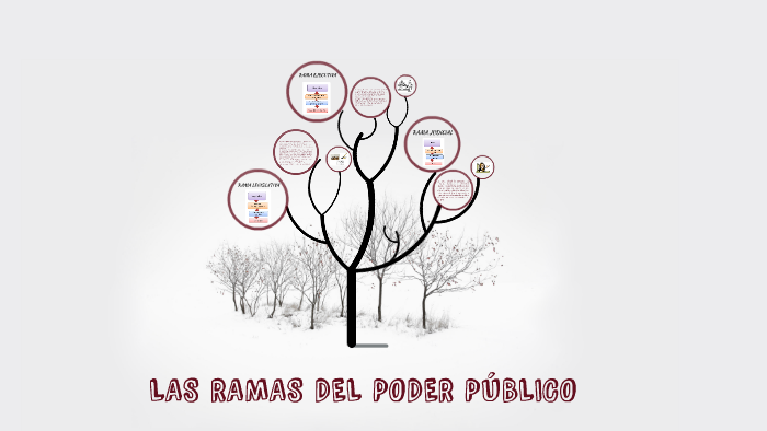 LAS RAMAS DEL PODER PÚBLICO by Ana María Sánchez Silva on Prezi