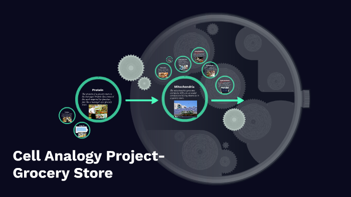 Cell Analogy Project- Grocery Store by Holden Cowger on Prezi