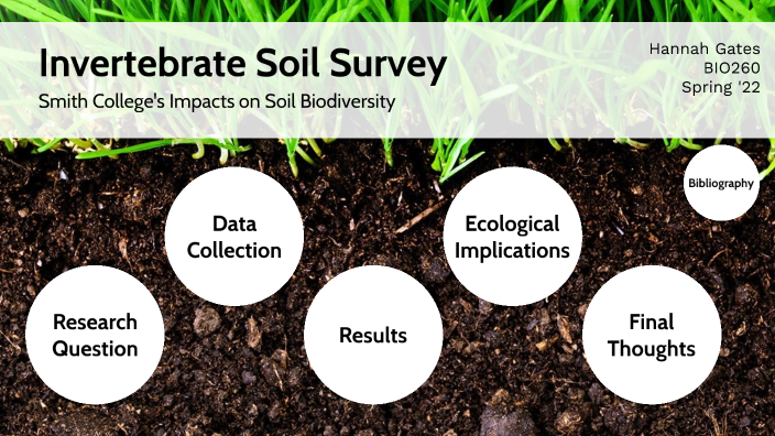 Soil Invert Survey by Hannah Gates on Prezi