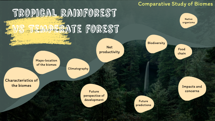 tropical rainforest vs temperate forest by Ainhoa Rodriguez Matos on Prezi