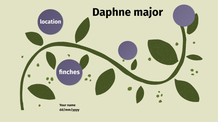 Finches of Daphne major by ilyne salazar on Prezi
