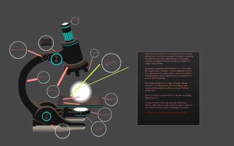 Welcome to the world or microscopes! The microscopes that we by Kerry ...