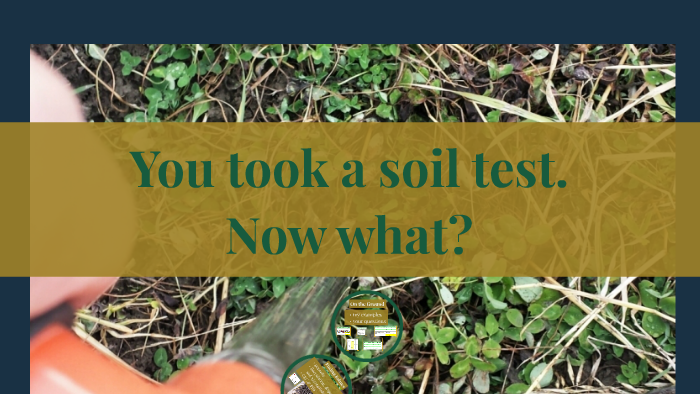 You took a soil test. by Rob Wallbridge on Prezi