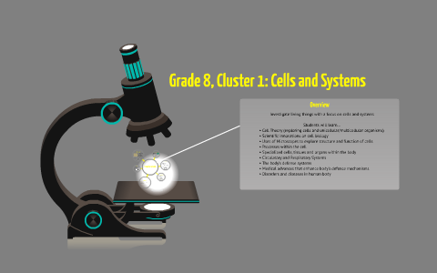 Grade 8, Cluster 1: Cells and Systems by Hannah Muns
