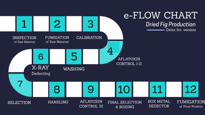 DATE Flow Chart by Halis Günday on Prezi