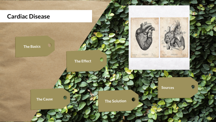 Outside Reading Project by Zoe Gravina on Prezi