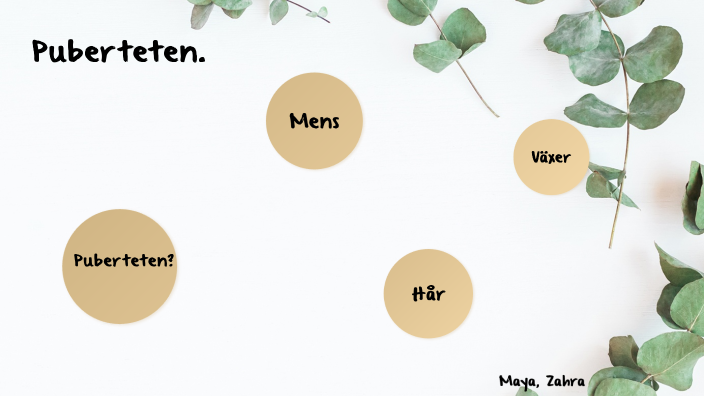 puberteten by Maya Alm on Prezi