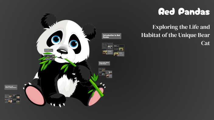 Red Pandas by Alexander Marquez on Prezi