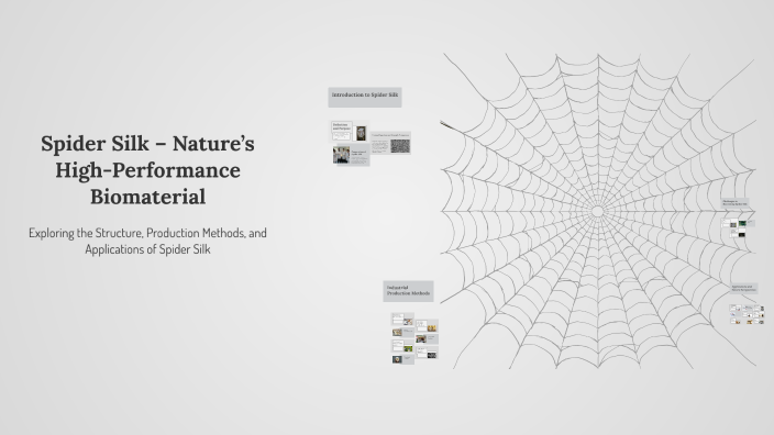 Spider Silk – Nature’s High-Performance Biomaterial by Ratnadeep Das on ...