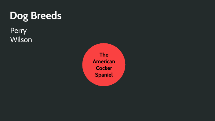 Dog Breeds by Perry Wilson on Prezi