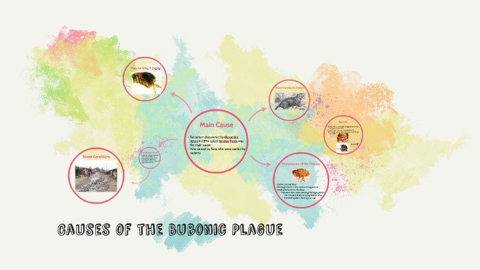Causes of the Bubonic Plague by Christopher Elder on Prezi