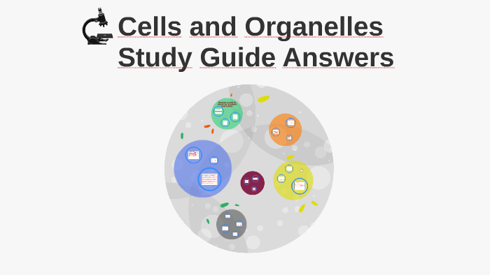 Cells and Organelles Study Guide Answers by Kelly Thomas on Prezi