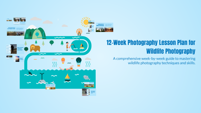 12-Week Photography Lesson Plan for Wildlife Photography by David Ross ...