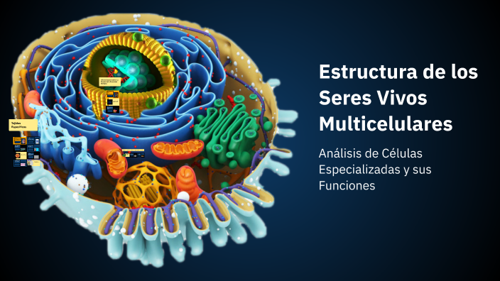 Estructura de los Seres Vivos Multicelulares by Dante Camacho on Prezi