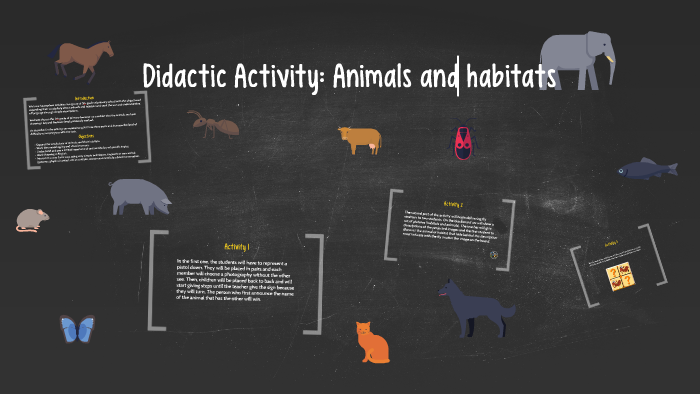 Didactic Activity: The animals by on Prezi