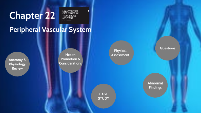 Chapter 22 PVS by on Prezi