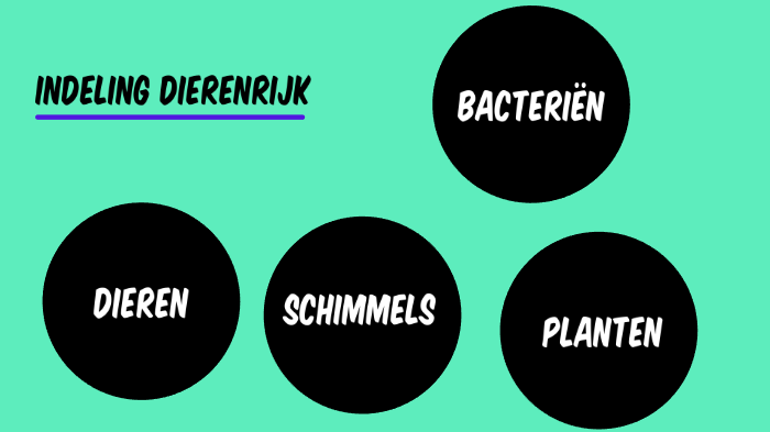 indeling van het dierenrijk by Pepijn Mensink on Prezi