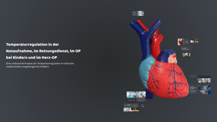 Temperaturregulation in der Notaufnahme, im Rettungsdienst, im OP bei ...