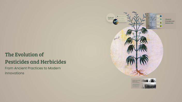 The Evolution of Pesticides and Herbicides by Branden Odige on Prezi