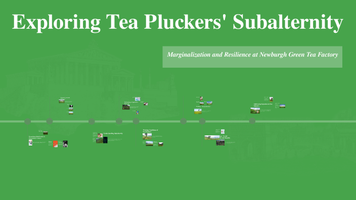 Exploring Tea Pluckers' Subalternity by Hansaja Banduge on Prezi