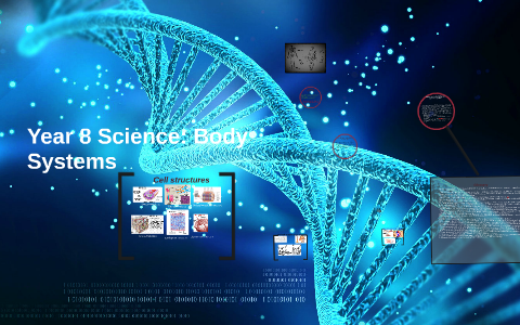 Year 8 Science: Body Systems by Richard Friswell on Prezi