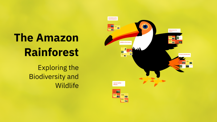 Exploring the Amazon Rainforest by Aidan McBride on Prezi