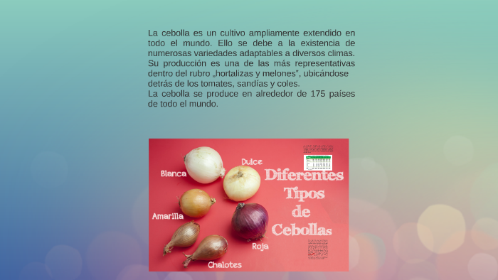 CEBOLLA AMARILLA by sonia davila on Prezi
