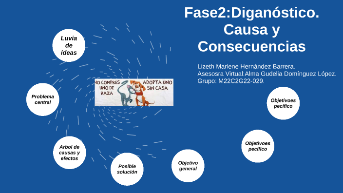 Fase 2: Diagnóstico. Causa y Consecuencias. Adopta no compres, es gratis. by Lizeth Hernandez on ...