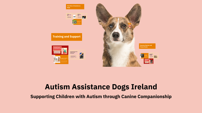 Autism Assistance Dogs Ireland by Danny Harrington on Prezi