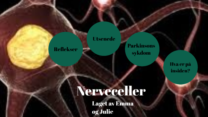 nervecelle by Julie Falk Maalen on Prezi