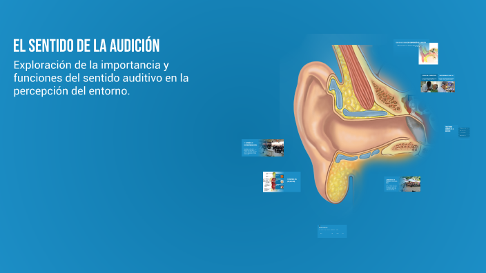 El Sentido de la Audición by Fran Fazio on Prezi