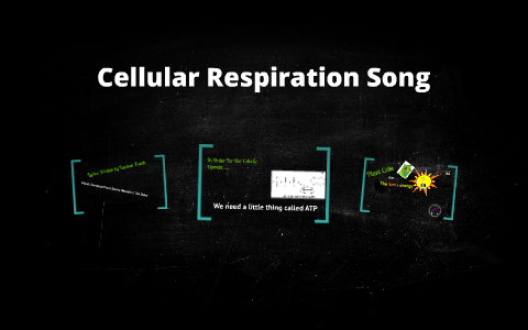 Cellular Respiration Song by on Prezi