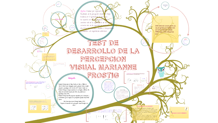 TEST DE DESARROLLO DE LA PERCEPCION VISUAL MARIANNE FROSTIG by Patricia ...