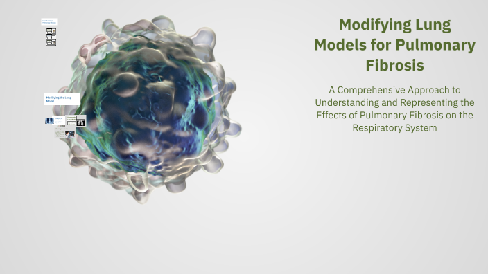 Modifying Lung Models for Pulmonary Fibrosis by Kelly Hernandez on Prezi