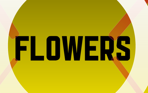 Flower Concept Map by Alexander Singleton on Prezi