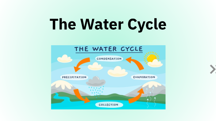 The Water Cycle by Tyra Anderson on Prezi