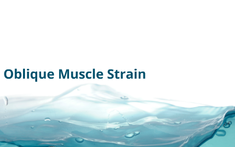 Oblique Muscle Strain by Cameron Cook on Prezi