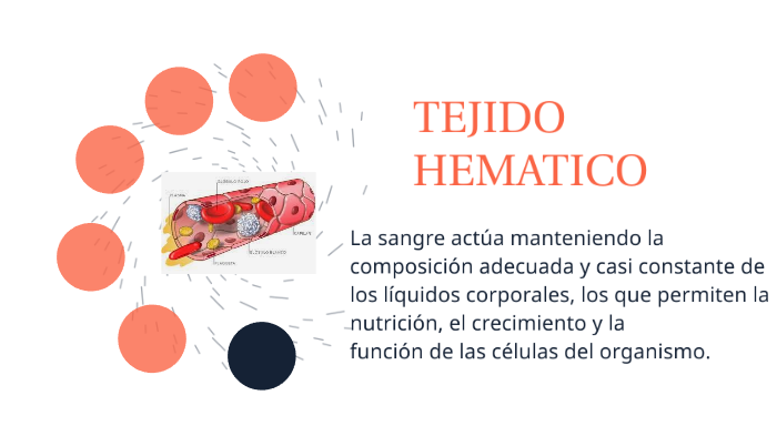 TEJIDO HEMATICO by Edgar Avin Oropeza on Prezi