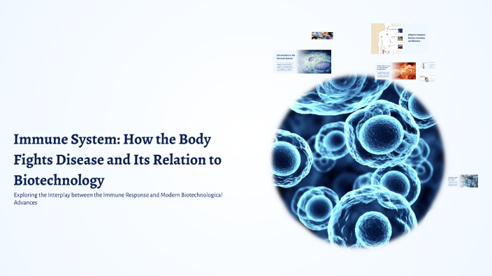 Immune System: How the Body Fights Disease and Its Relation to ...