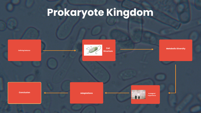 Prokaryote Kingdom by Matt Trewhella on Prezi
