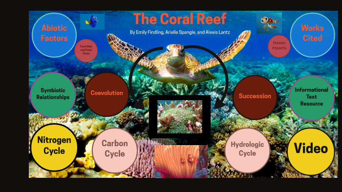 Coral Reef Marine Biome by Aurie S. on Prezi